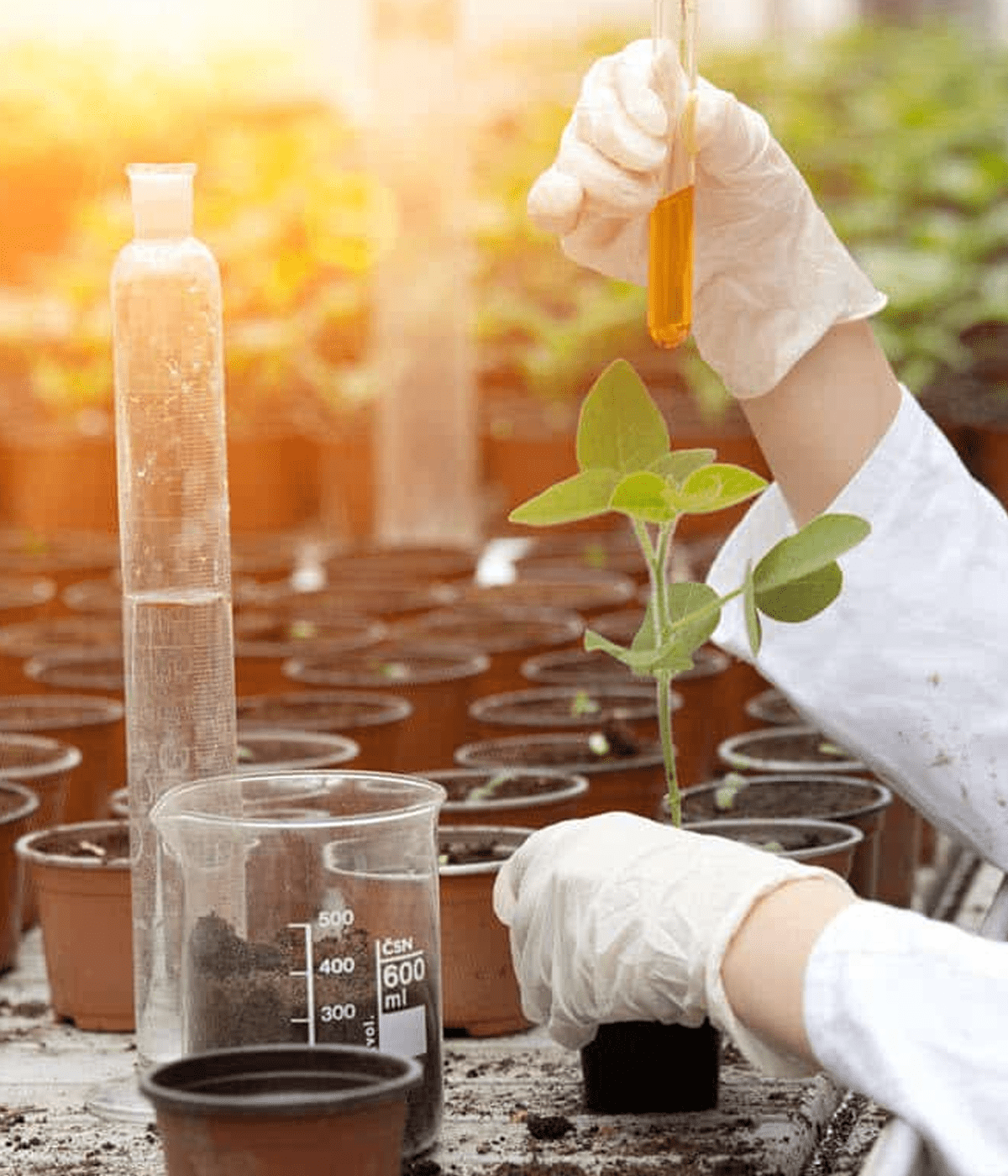 Advanced Environmental Laboratory Services | Aaxis Nano