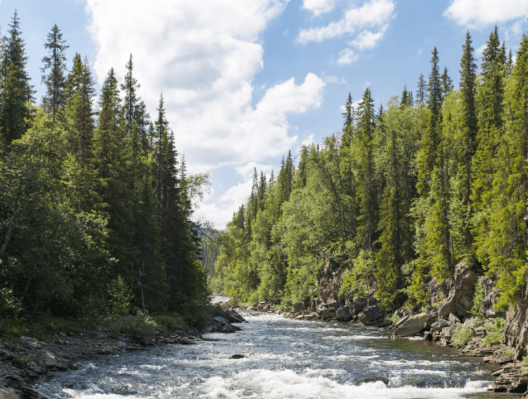 River Water Monitoring - aaxisnano